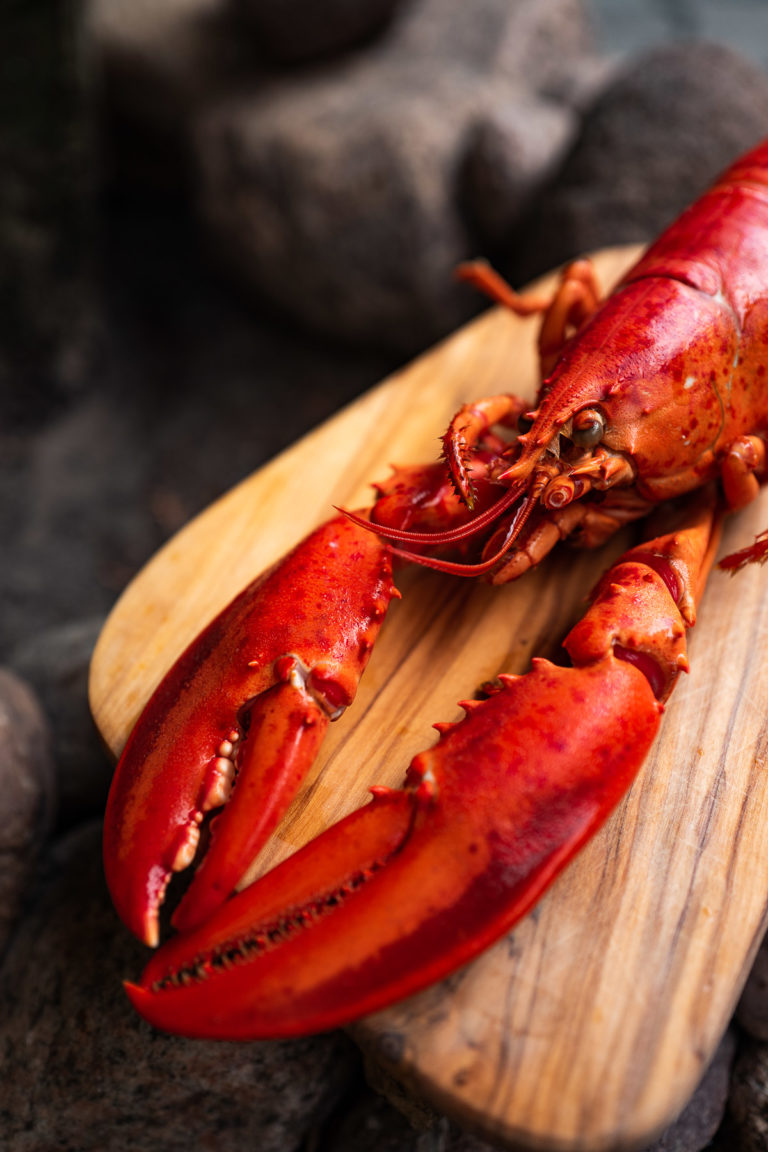 Stir fry z homara w stylu kantońskim (cong jiang longxia 蔥薑龍蝦) | Pyza ...