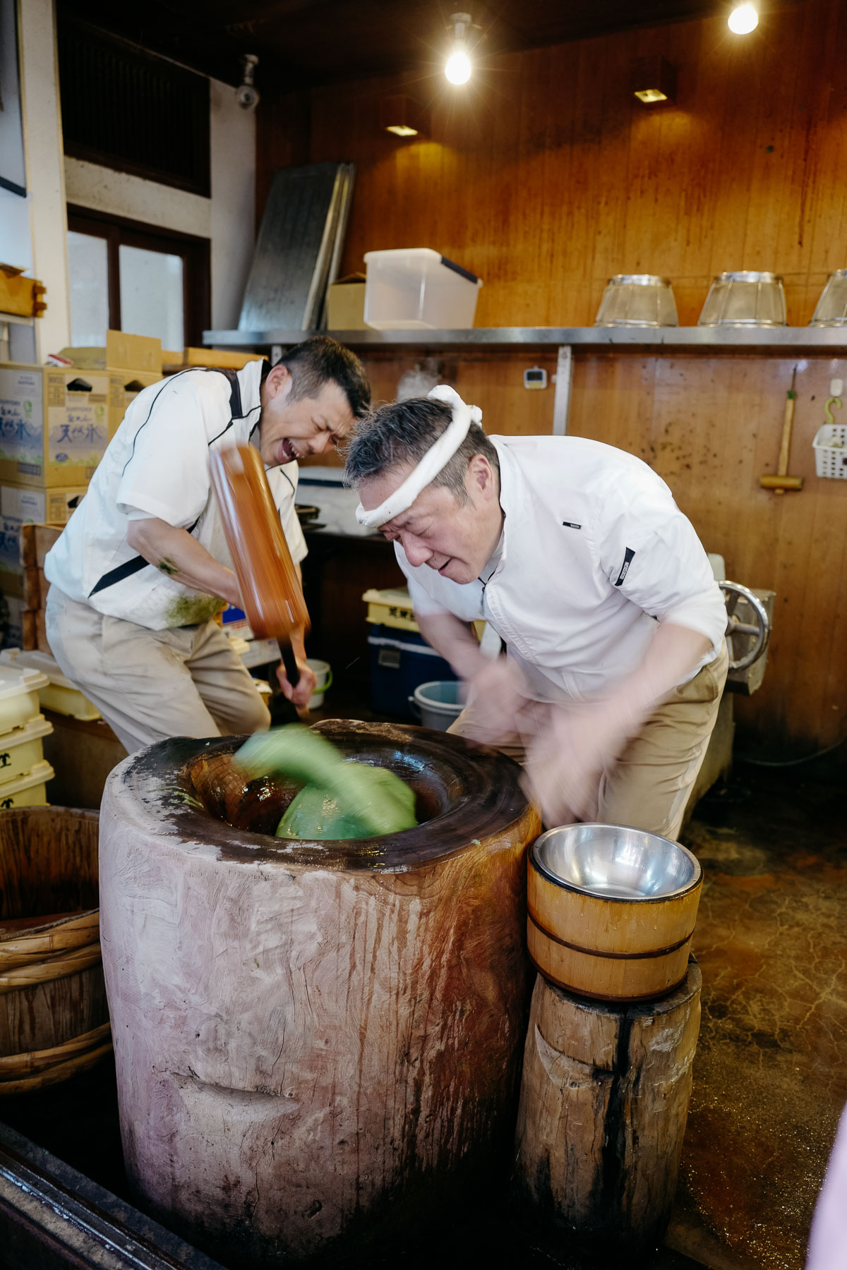 Yomogi mochi | Pyza made in Poland